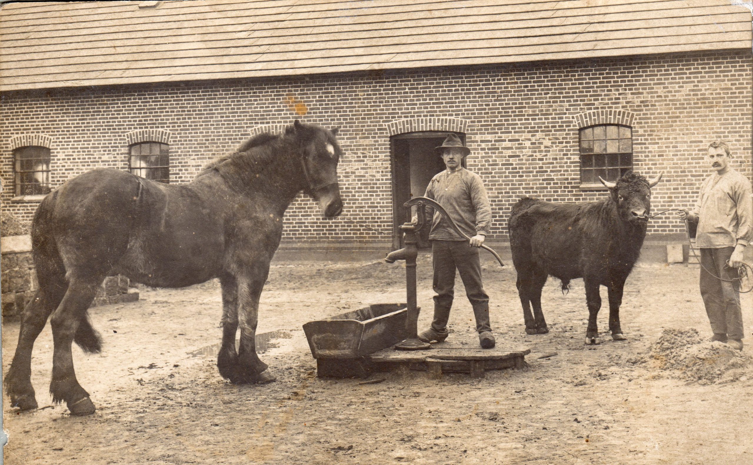 Billedserie 1 – Tilst Kasted Lokalhistoriske Arkiv