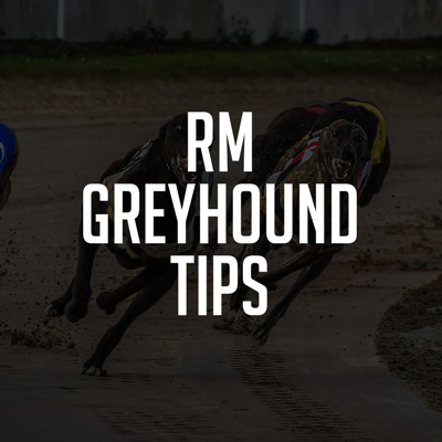RM Greyhound Tips Review | Dog Racing Tipsters Guide