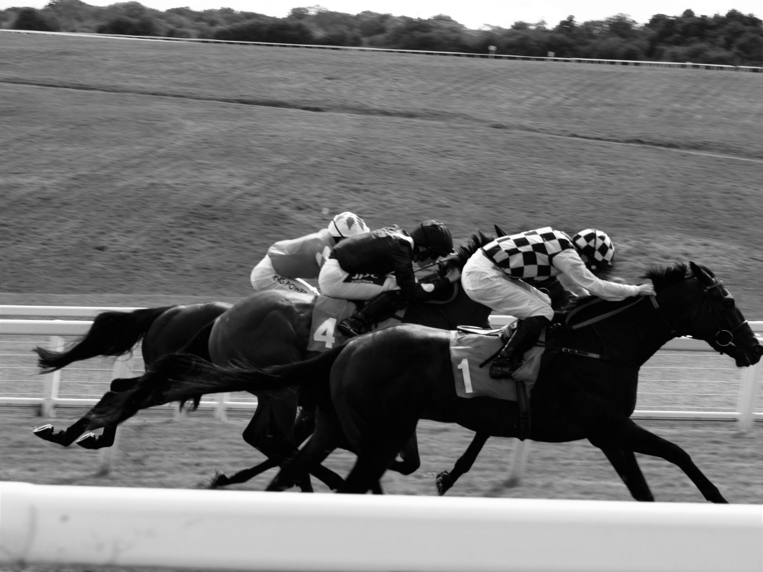 Horse Racing Bets Explained | Lear All The Bet Types