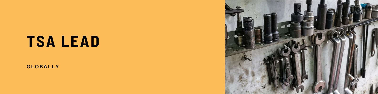 TSA Management - Tovoy Solutions