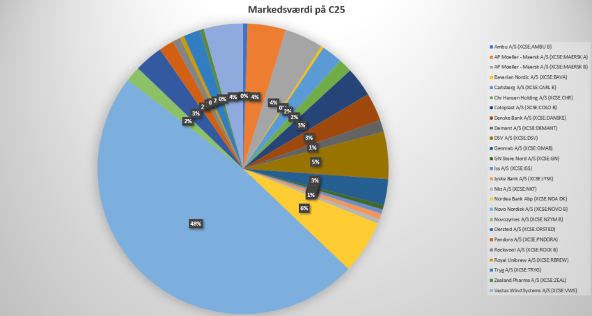 Stor Guide til C25: Alt du skal vide om C25 [2024] - Unge Investorer