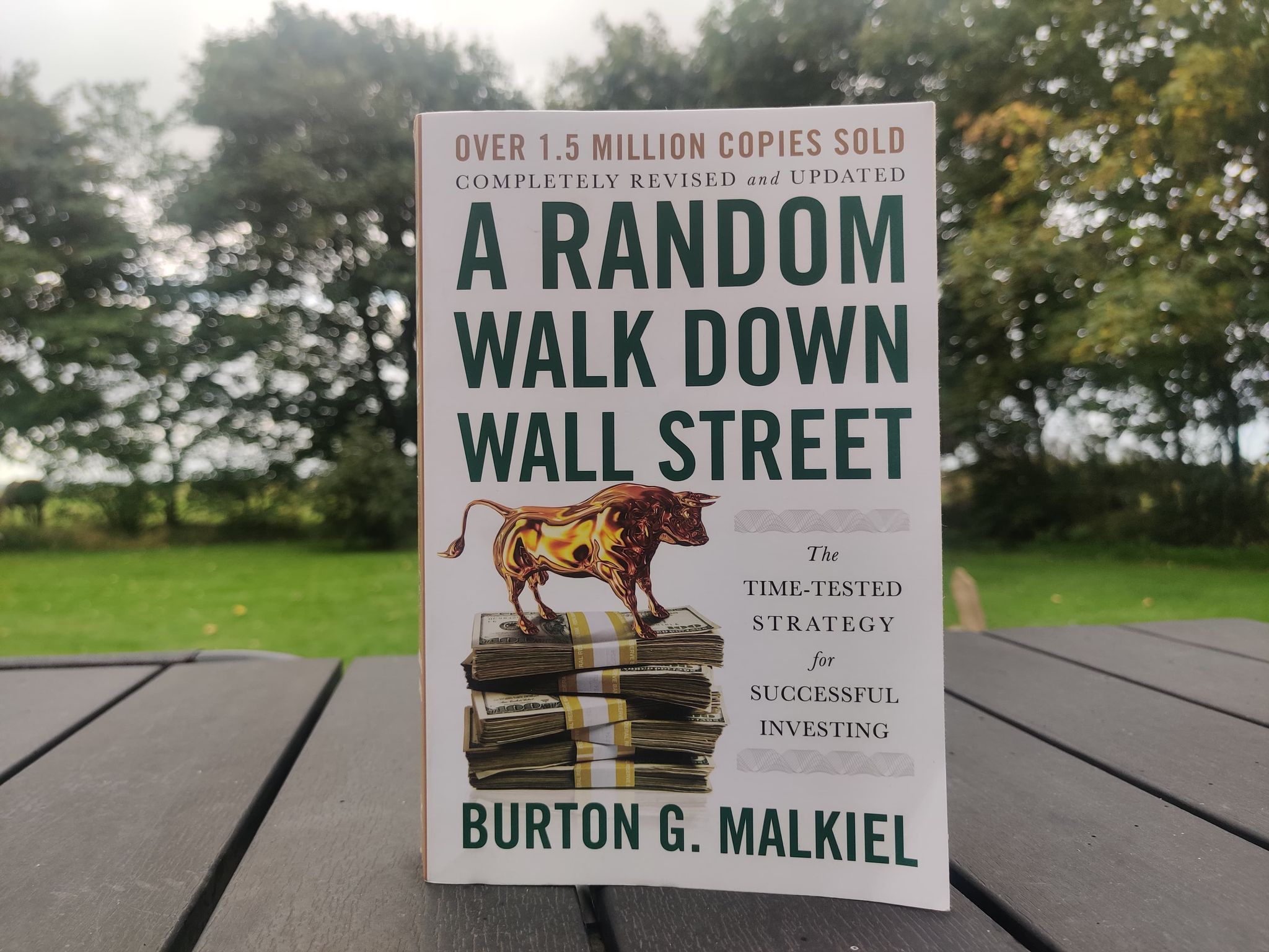 A Random Walk Down Wall Street - Unge Investorer