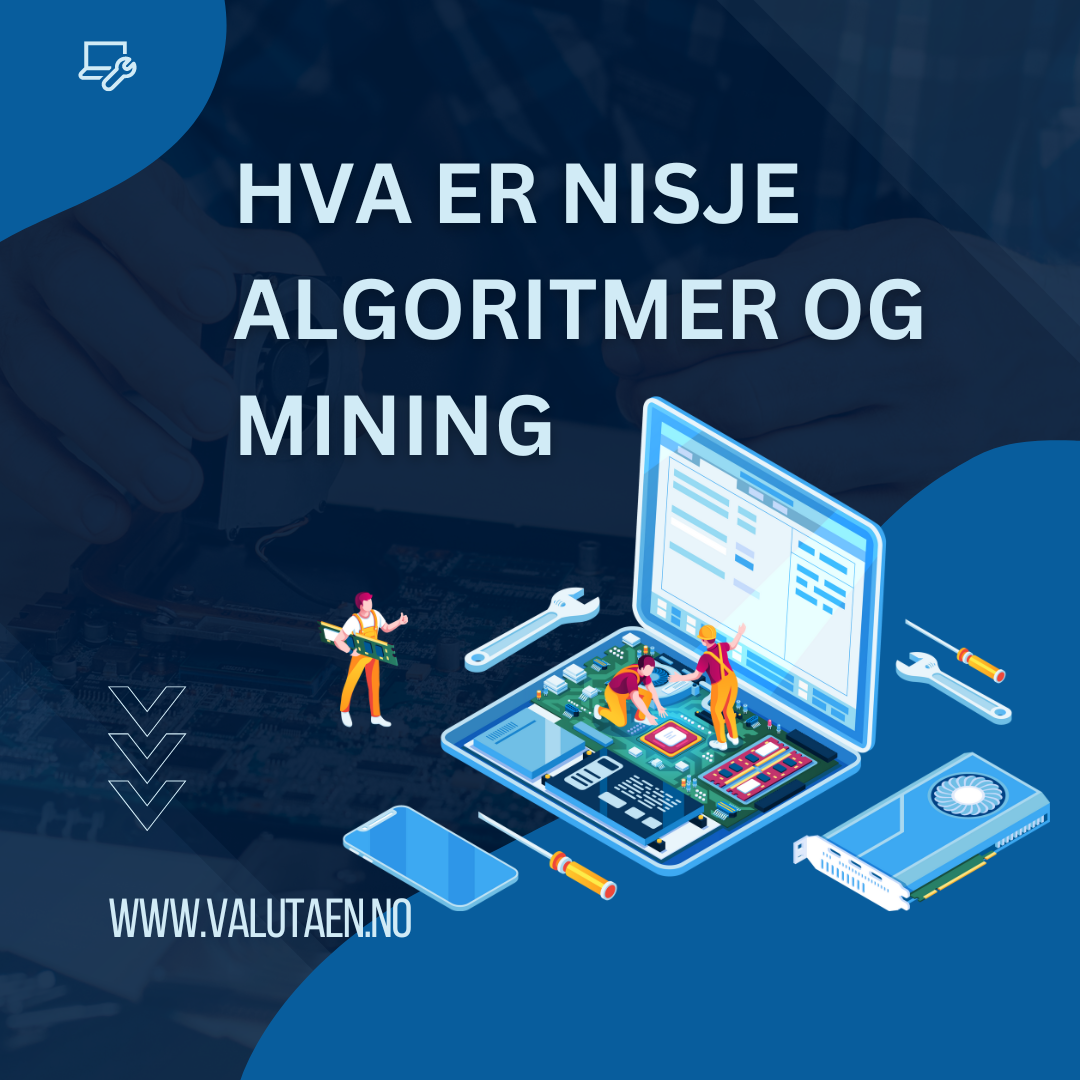 Hva er Nisje algoritmer og Mining - valutaen Hva er Nisje algoritmer og Mining - valutaen