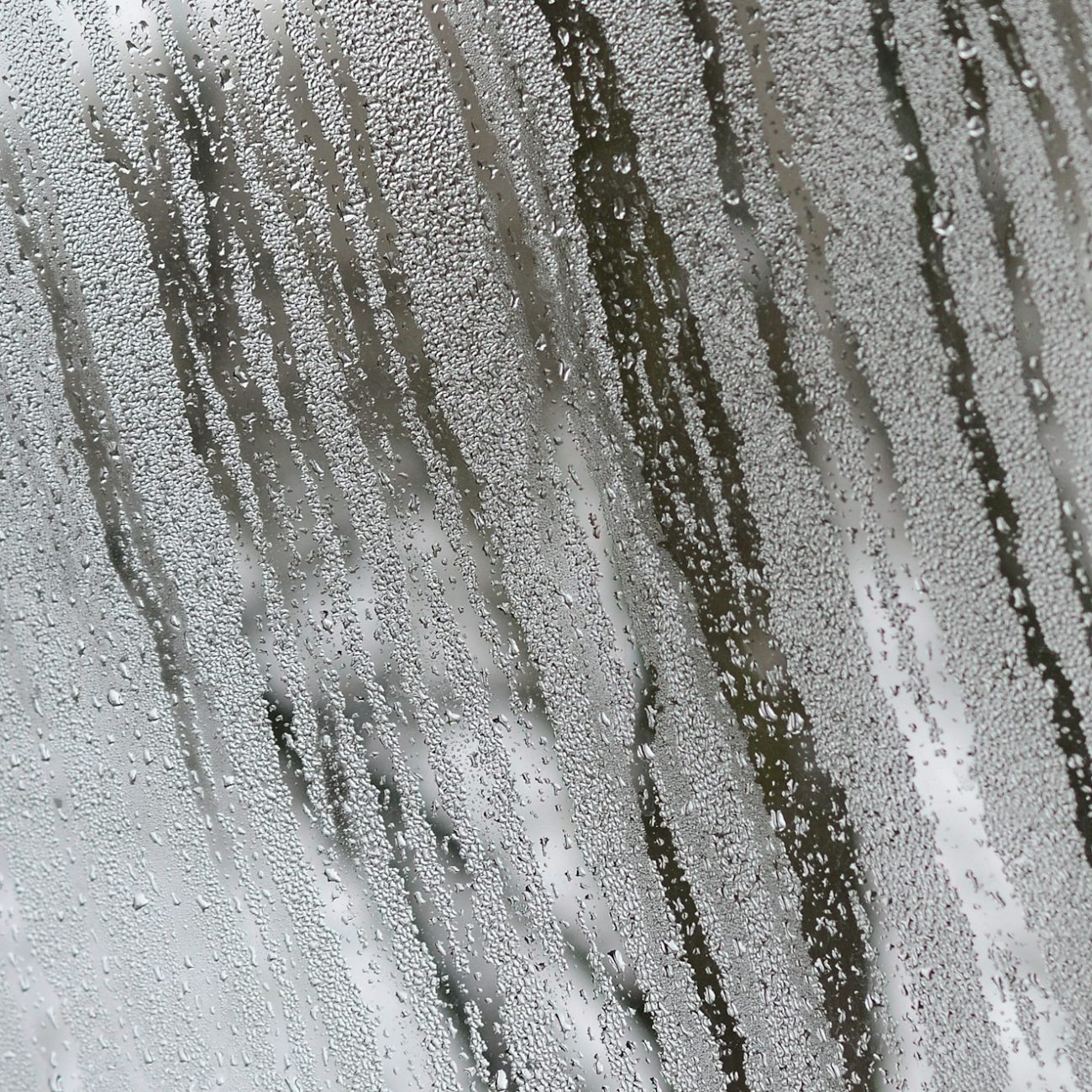 Hvad skal man gøre ved vandskade? En komplet guide
