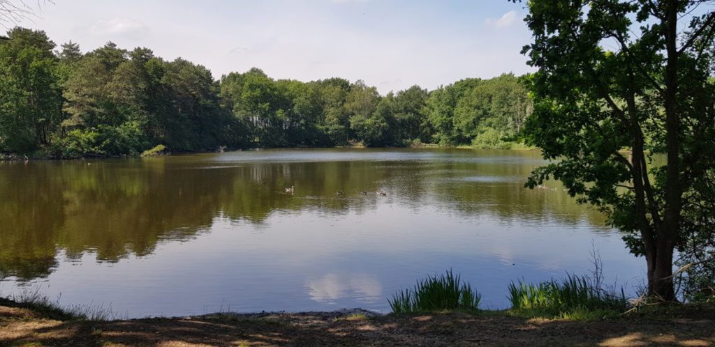 Beerse Gemeentewaters | VBK.vzw