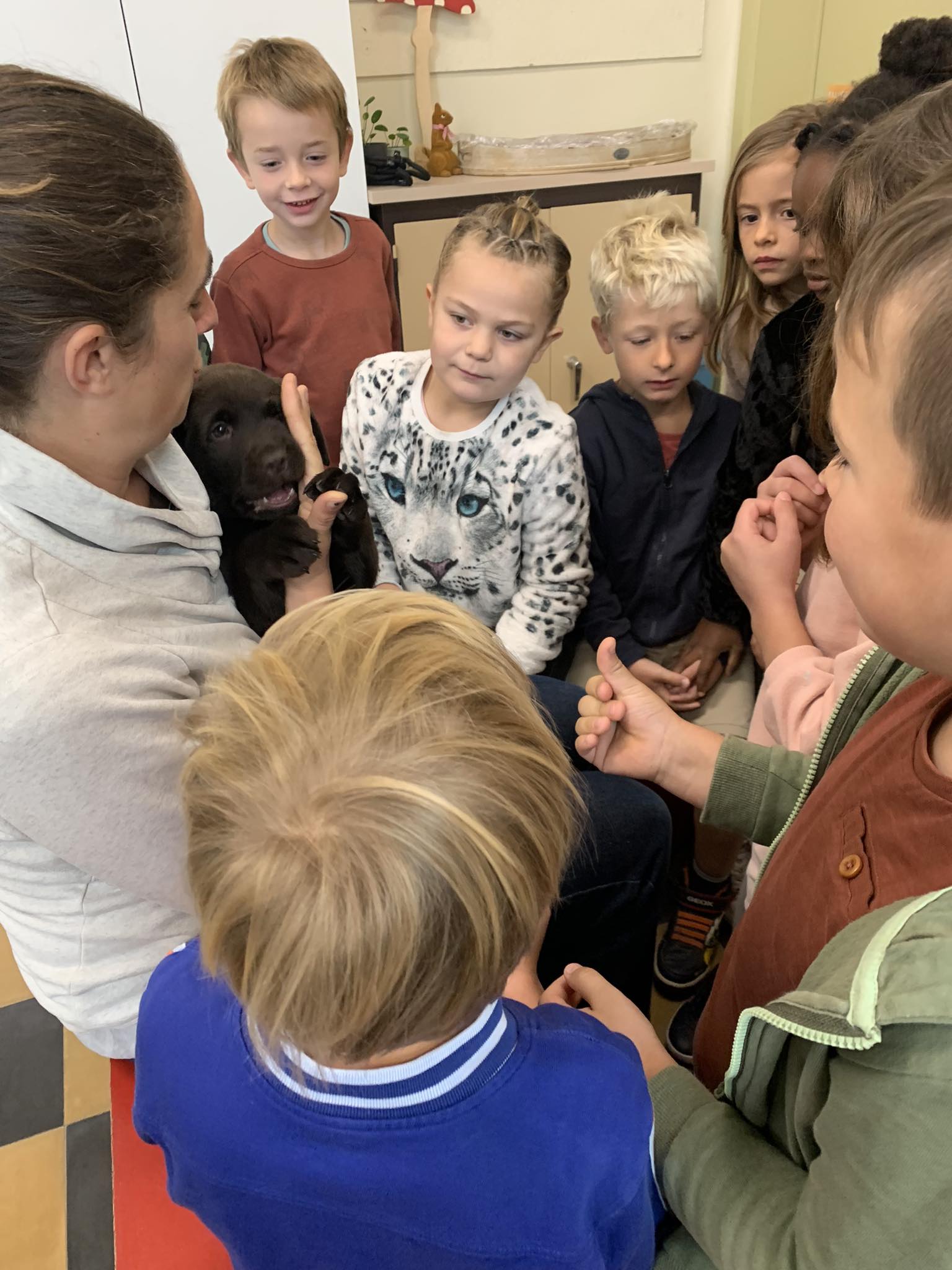 Willy, het nieuwe hondje van Jules kwam bij ons op bezoek! – Vrije Basisschool Zulte