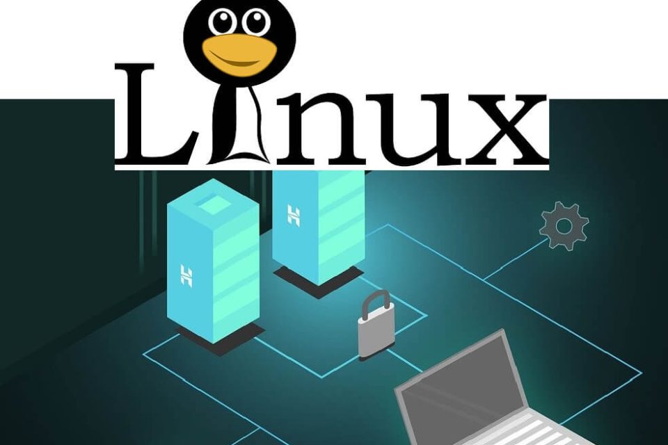 Linux-Tutorials: Anleitungen für Anfänger und Experten