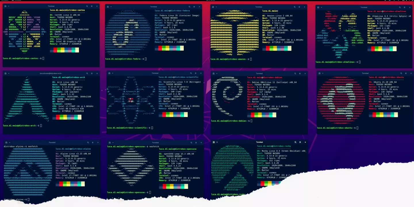 Distrobox: Viele Linux-Distributionen auf einem Host verwenden