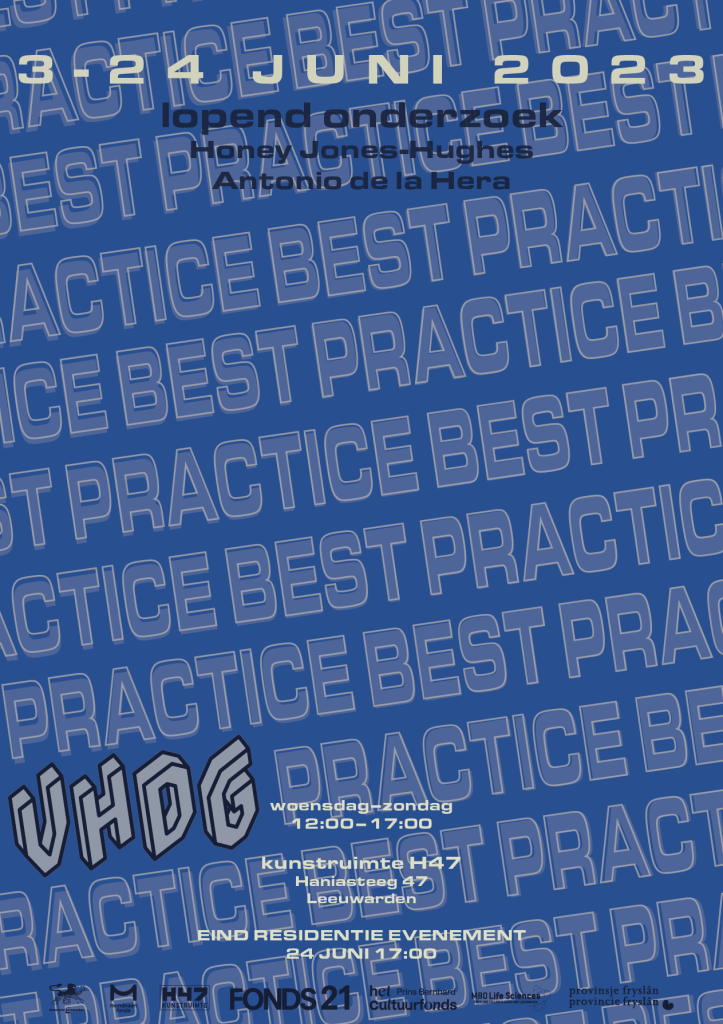 Best Practice - VHDG