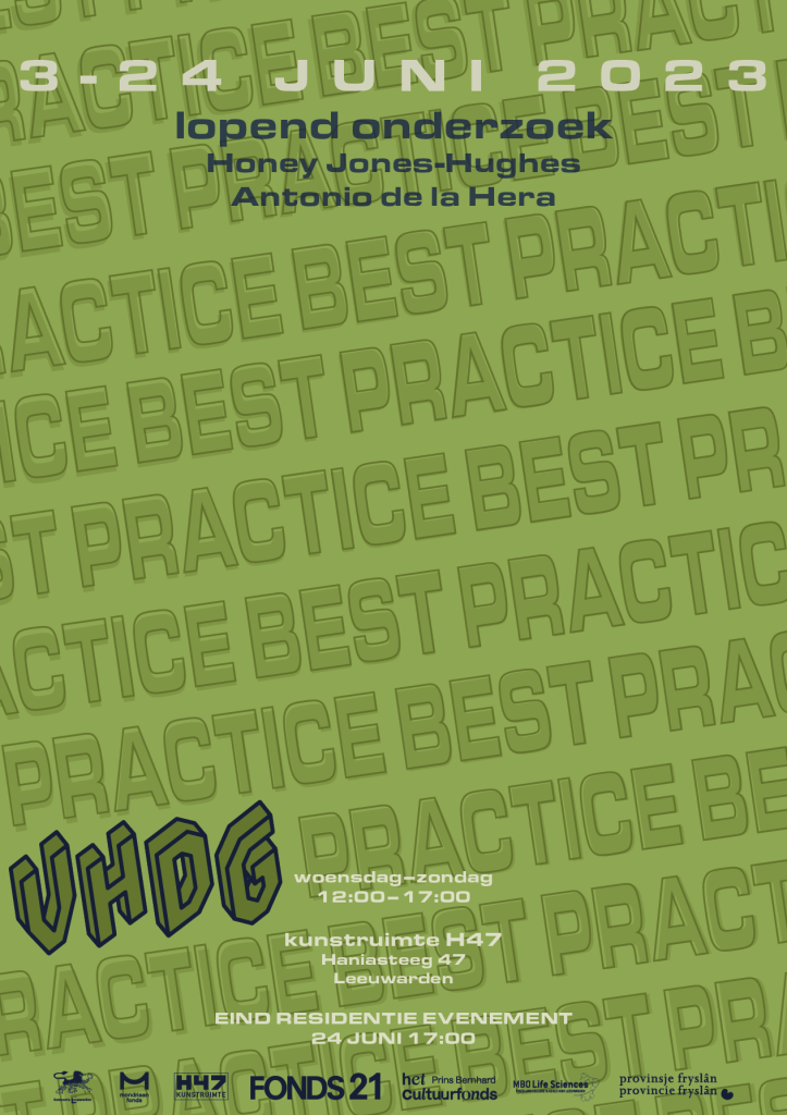 Best Practice - VHDG