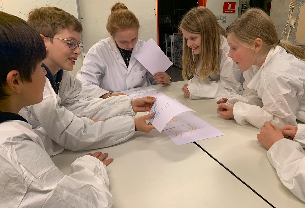 Primatologi (4. klasse) - Videnskabsklubben