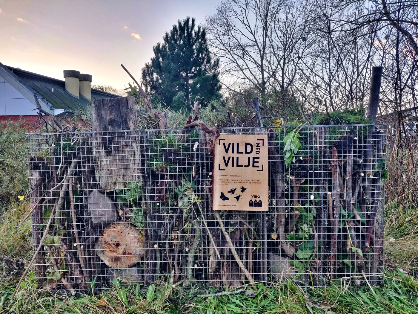 VIBO - Vild Med Vilje