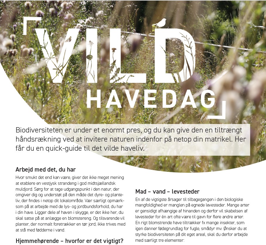 Vild Havedag - Vild Med Vilje