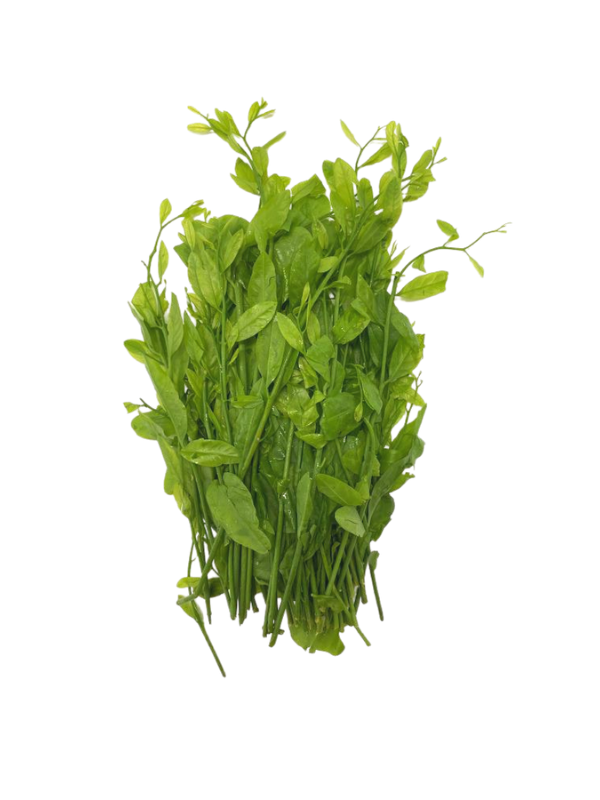 Pak wan 80g – Vina Import