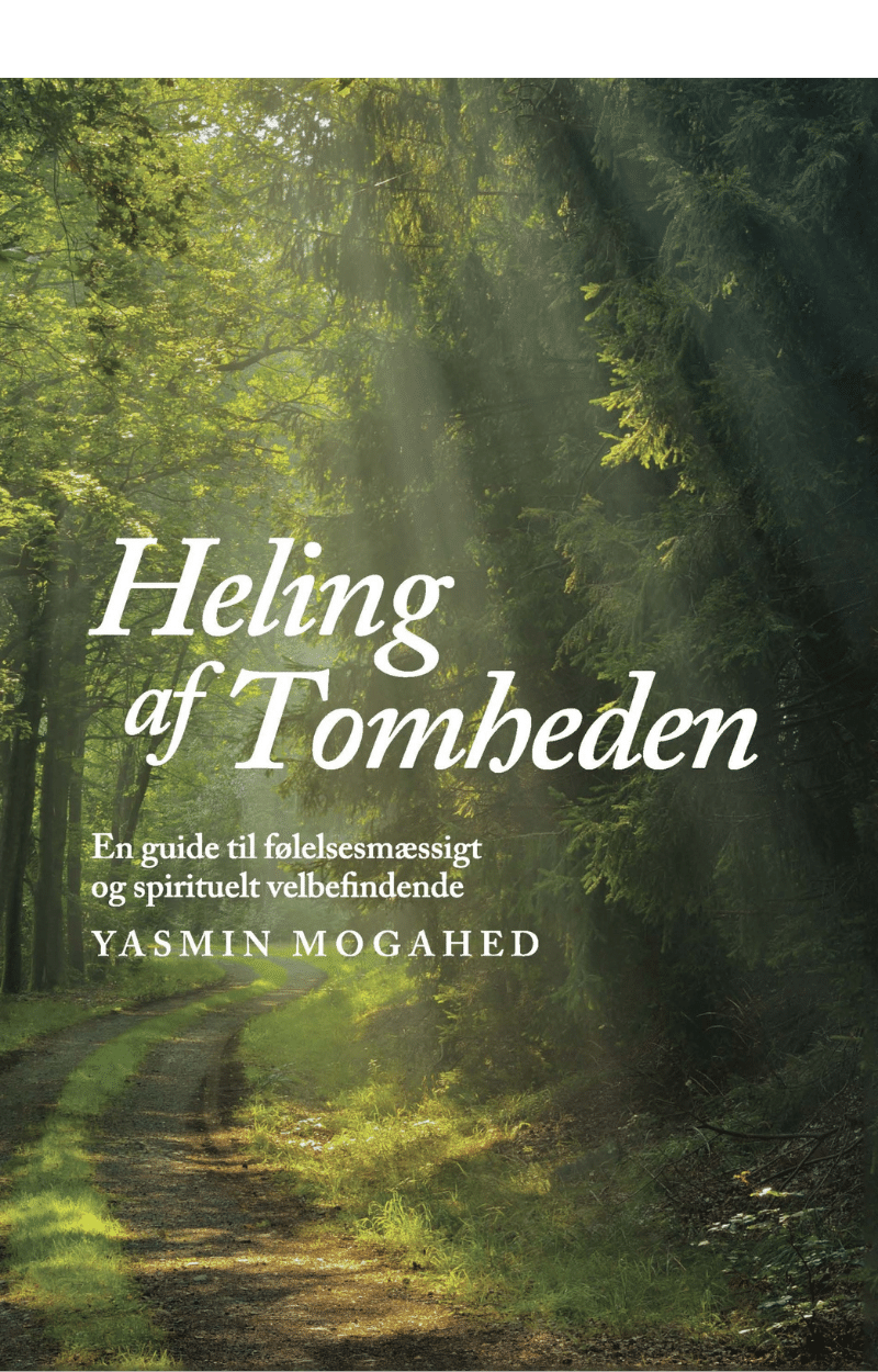 Heling af Tomheden – Vision Books Heling af Tomheden – Vision Books