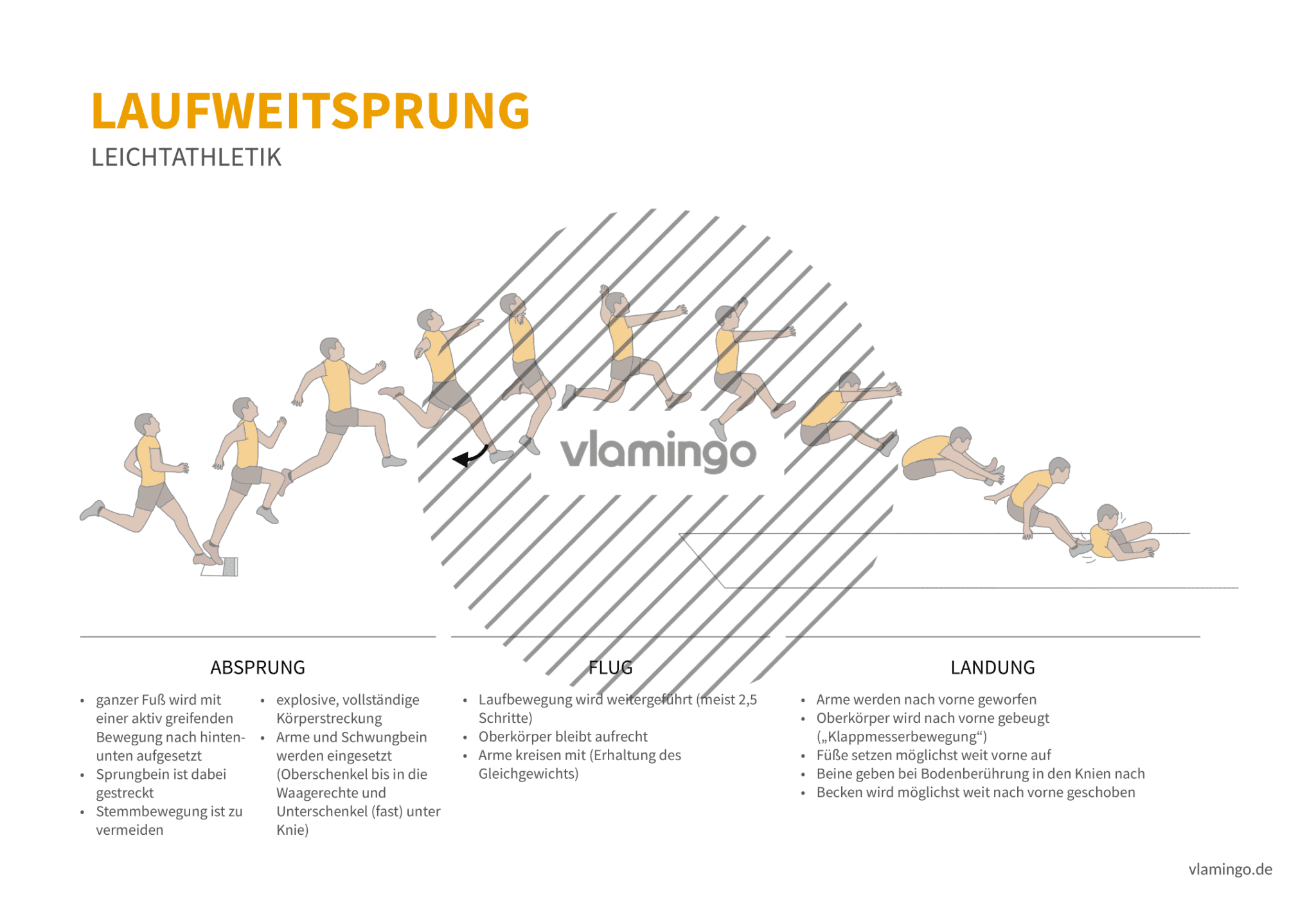 Weitsprung: Technik-, Phasen- & Bewegungsbeschreibung im Überblick