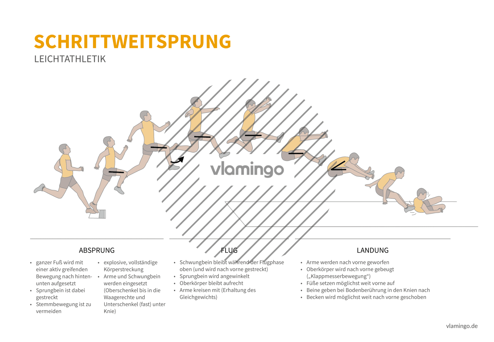 Weitsprung: Technik-, Phasen- & Bewegungsbeschreibung im Überblick