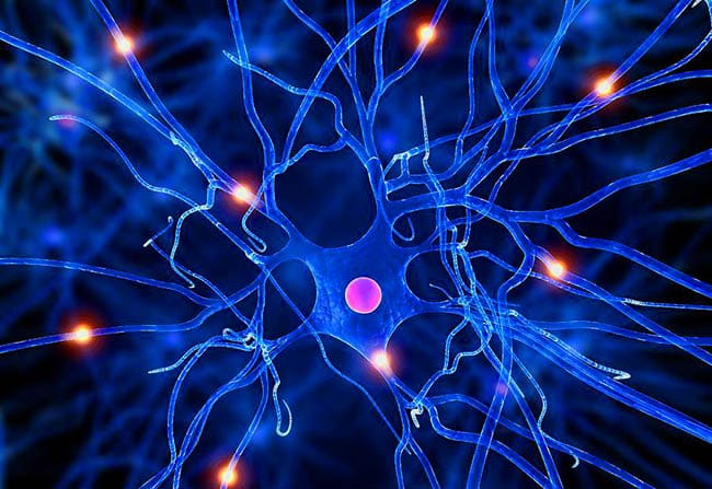 Trigeminusnevralgi - Årsak, symptomer, tiltak og behandling |Vondt.net