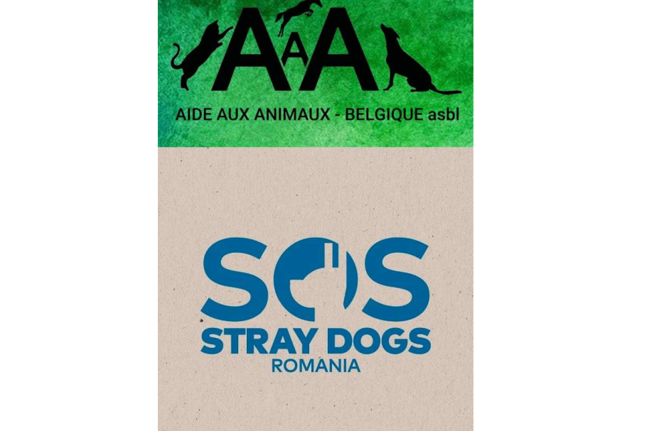 SOS Stray Dogs Romania & Aide Aux Animaux. (December 2022 ...