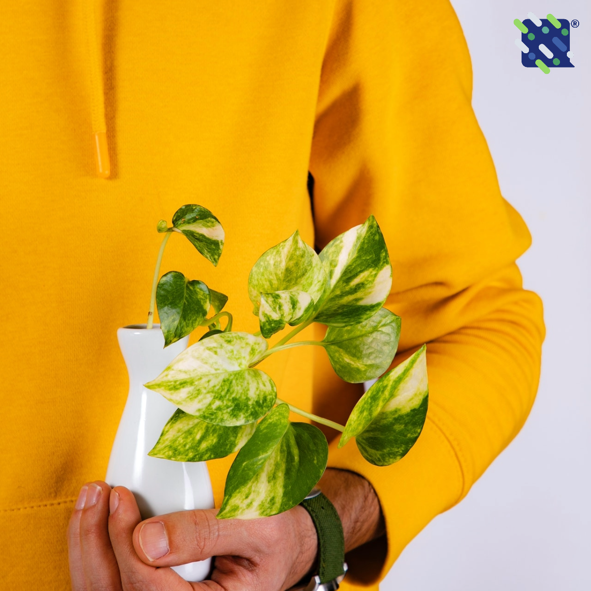 3 ways to solve problems alone - Walking Talking