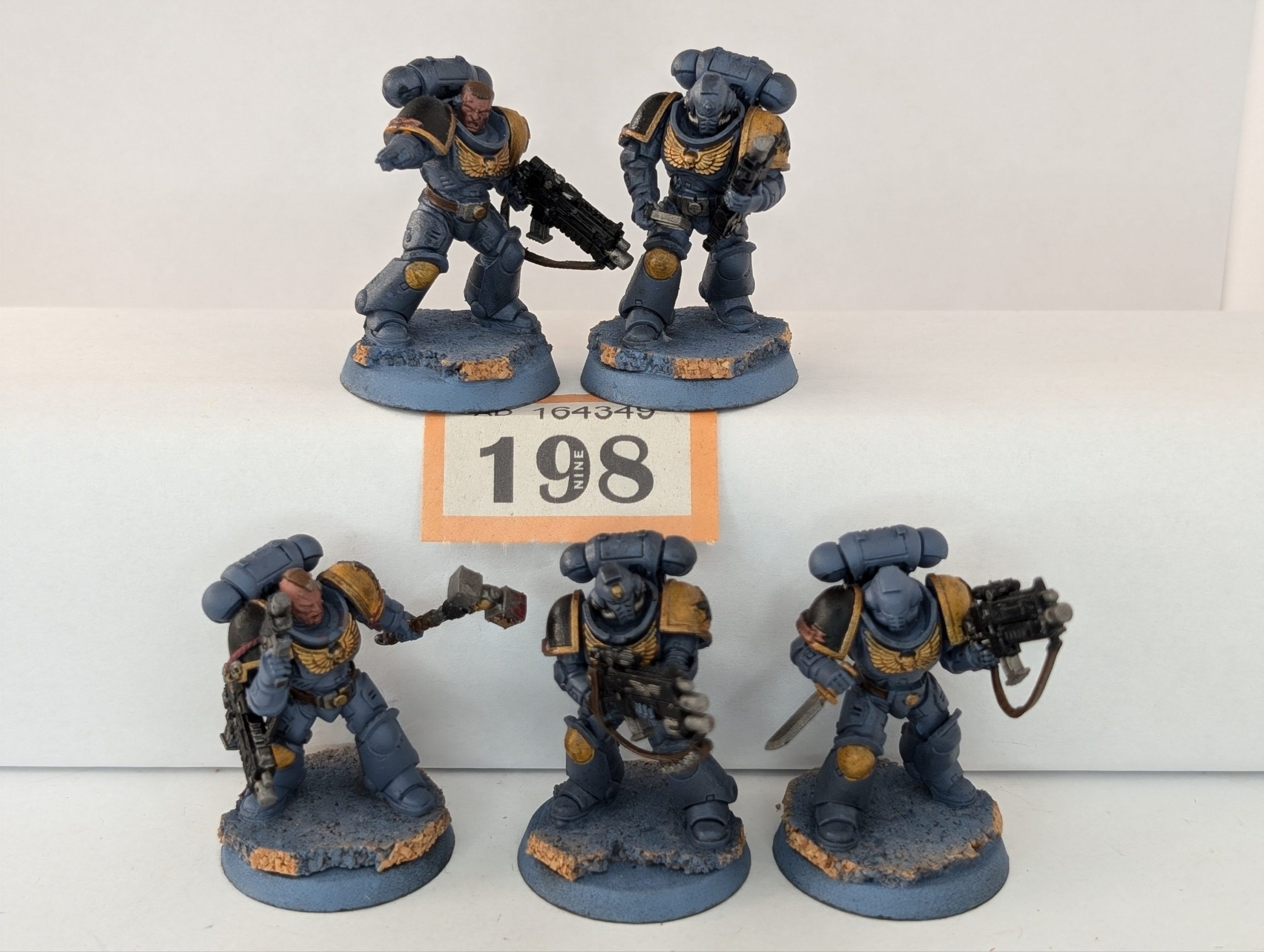 Space Wolf Primaris Intercessors - warbay.shop