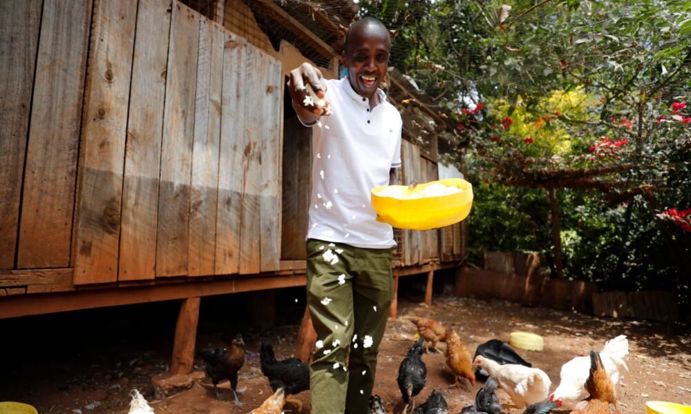 Africa's Post-Aid Future: Challenges and Opportunities - waryatv.com