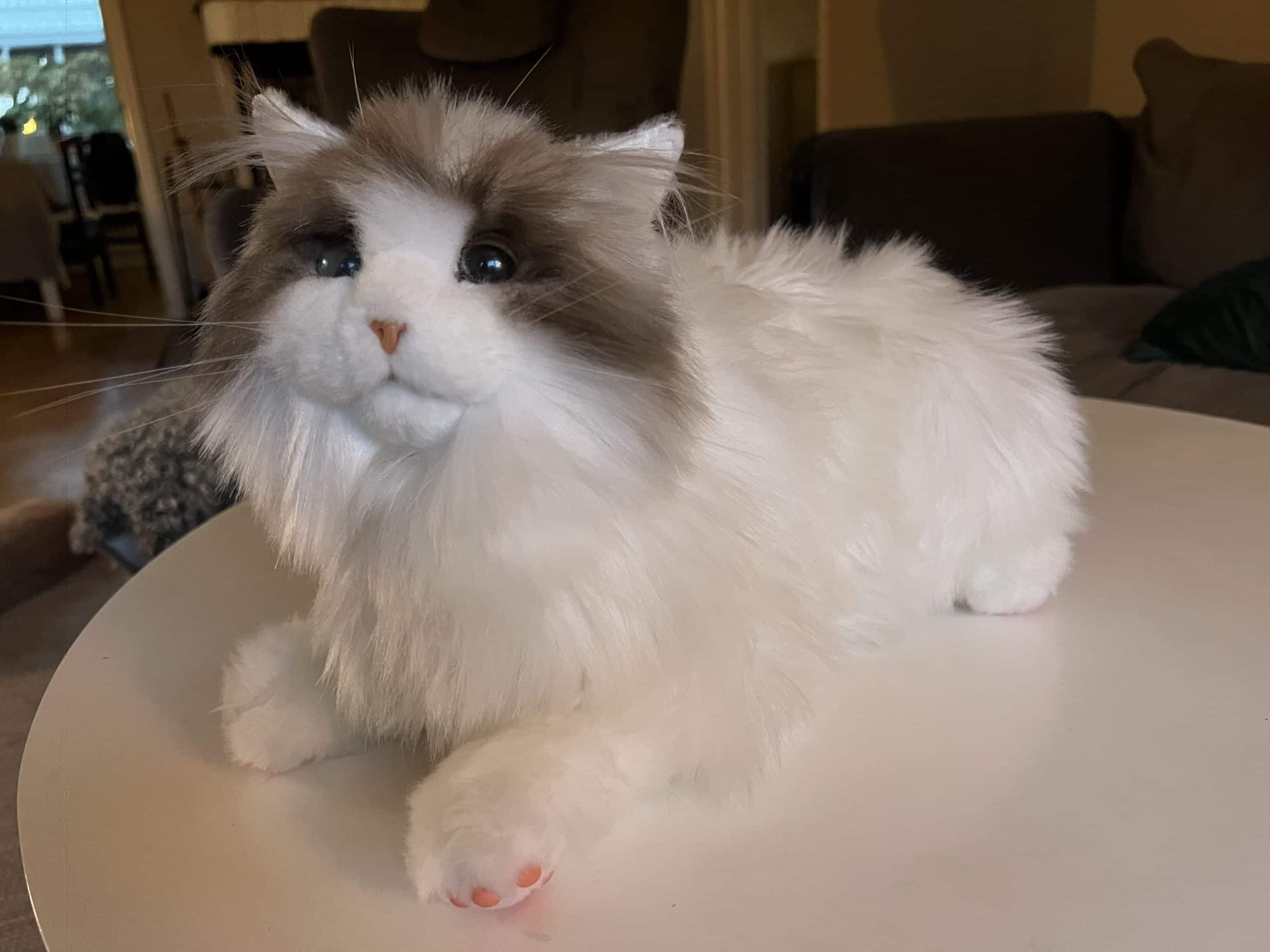 Digital terapikatt - Metakatt - Wera Welltech