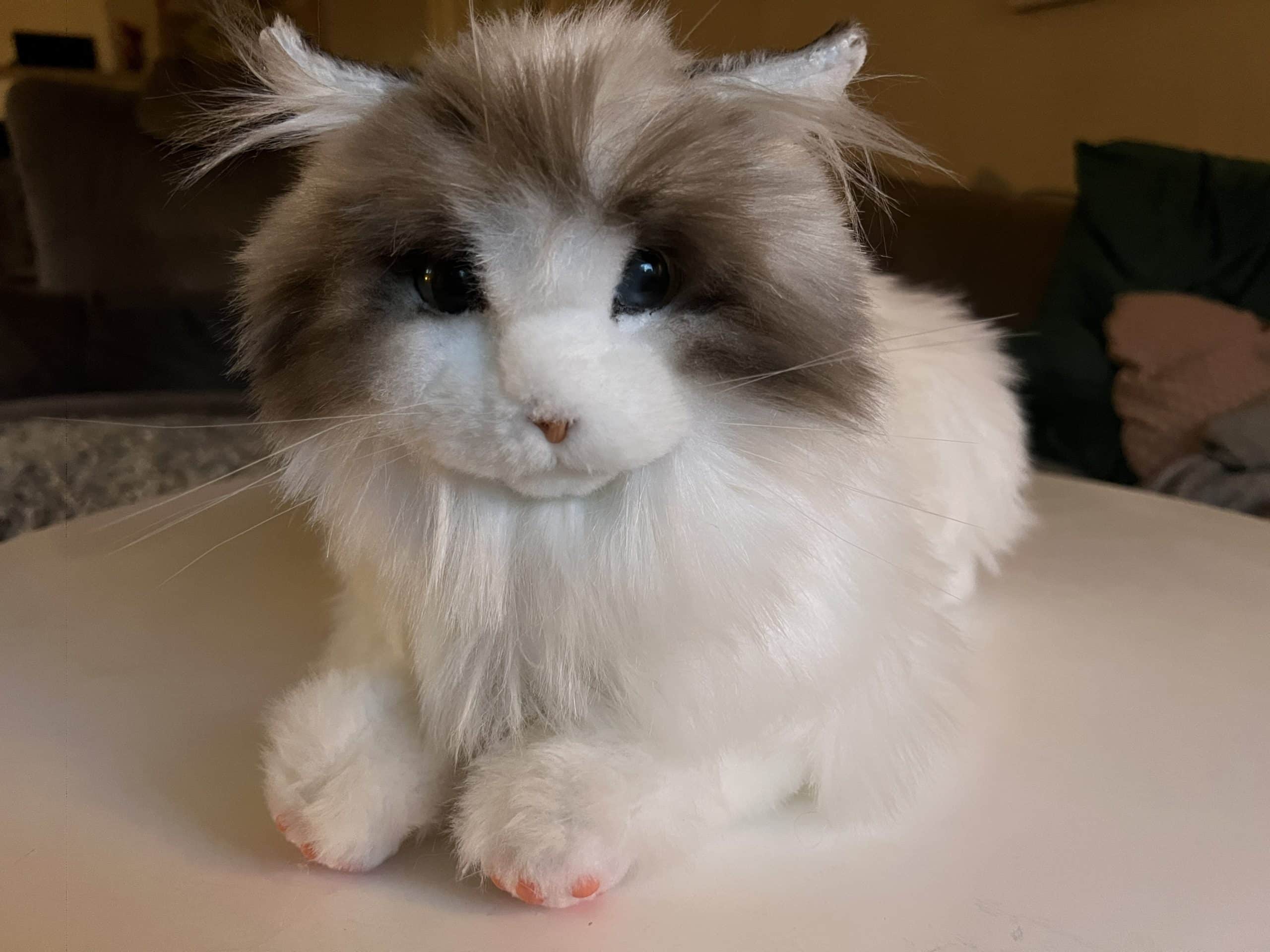 Digital terapikatt - Metakatt - Wera Welltech