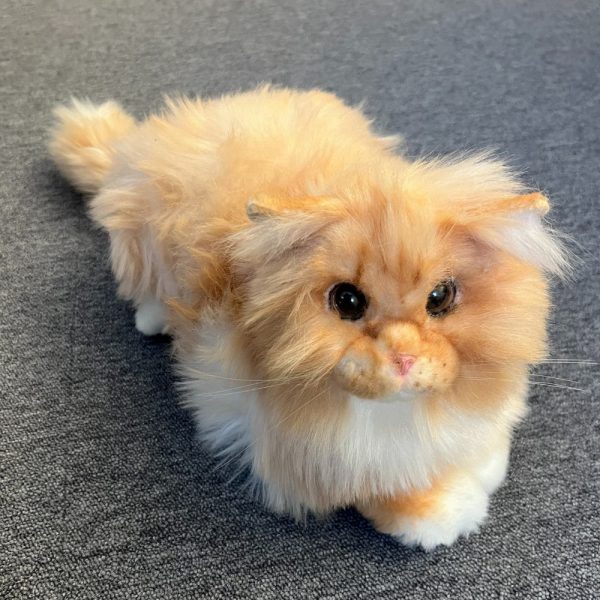 Metakatt - Perser - Wera Welltech