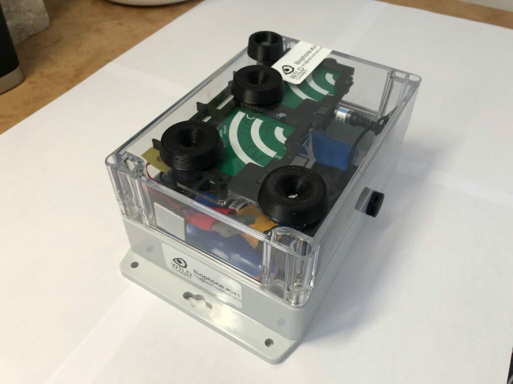 The Biophone - Wild Connect