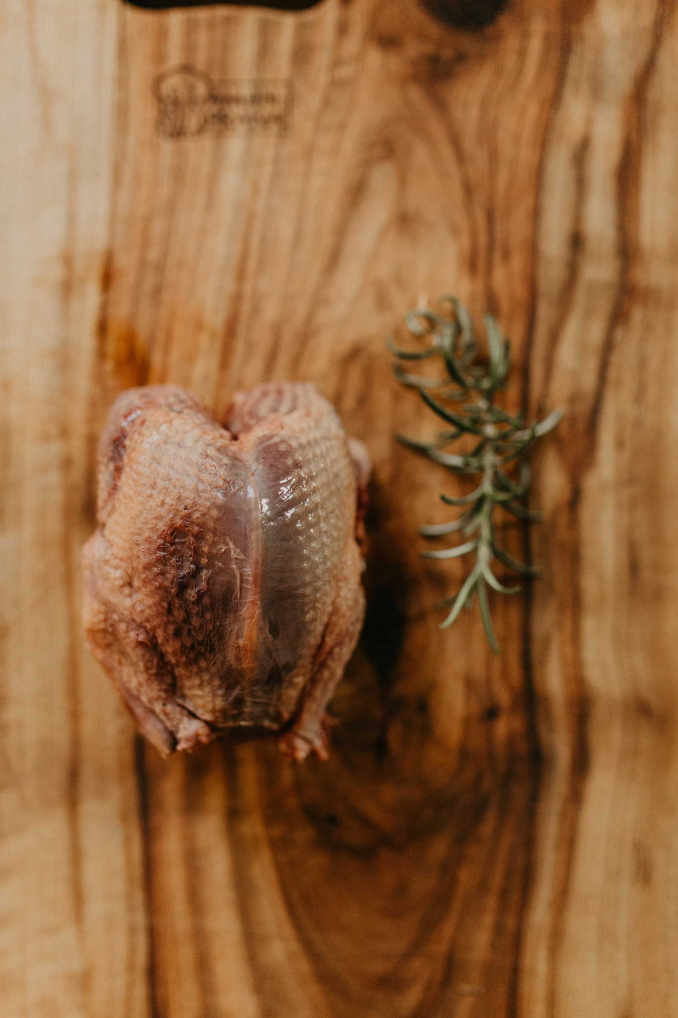 Bosduif panklaar - Wildax