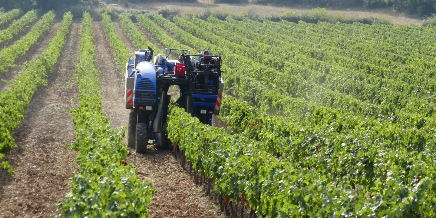 Grape Harvesting by Machine in Provence September 2019 | Wines of Provence