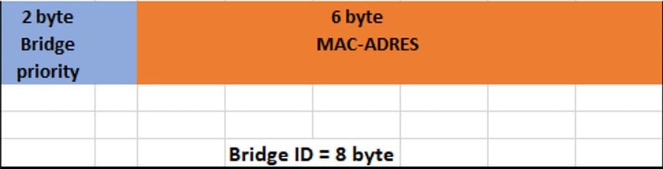 Spanning Tree Protocol wat is de functie van dit protocol in een netwerk