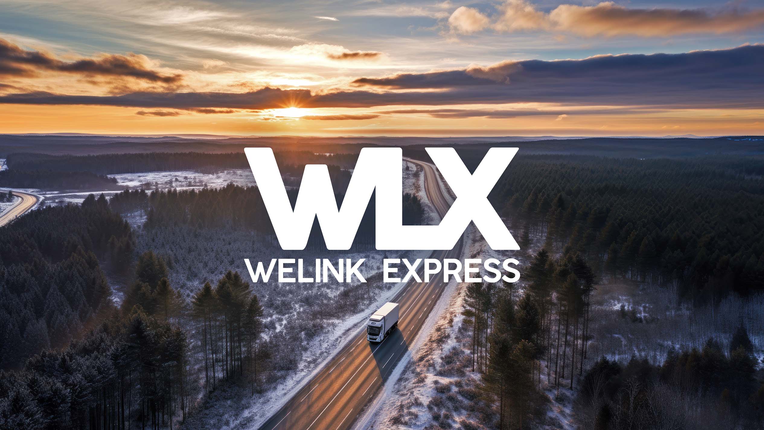 Din transport partner inom Sverige | WLX WeLink Express