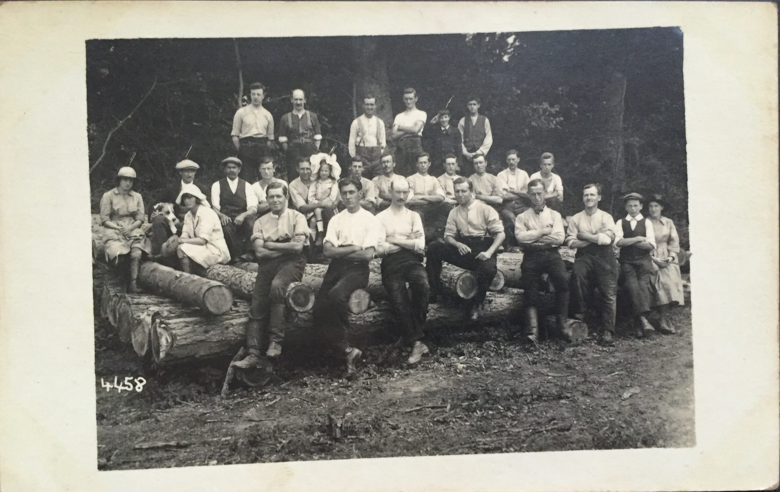WW1 Photos: female forestry workers - Women's Land Army