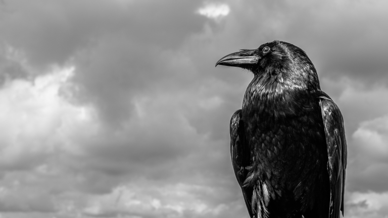 What Makes "The Raven" One of History’s Greatest Poems - WorldAuthors.Org