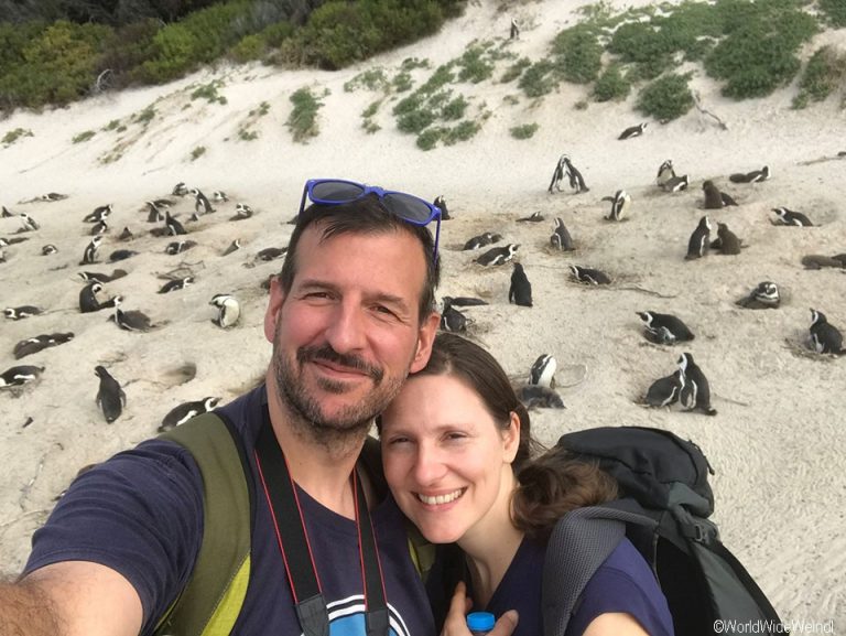 Lion's Head, die Pinguine am Boulders Beach und das Kap der guten Hoffnungen