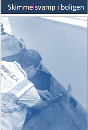 Presse - Artikler ⋆ Zimplex