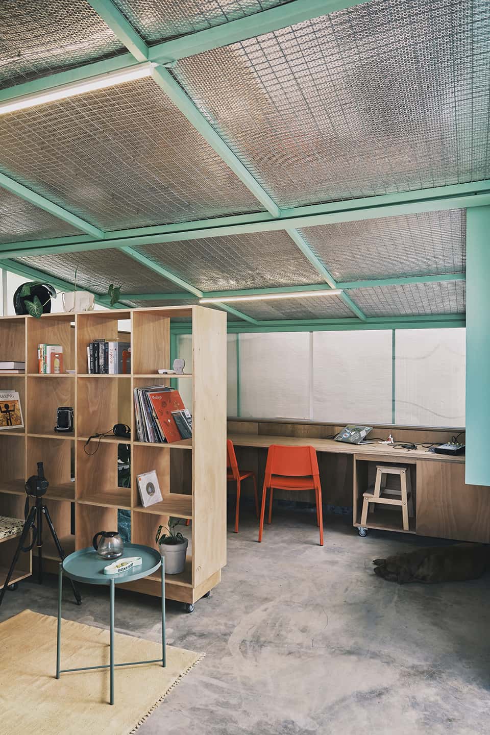 ZXC Studio — Naps.Digital