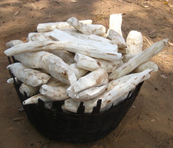 Àmàlà: Tracing the Origin of a Cultural Staple – Welcome To Yorùbá Lessons